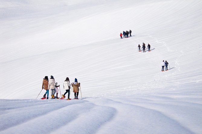 Snowshoeing Fun Tour from Cluj Napoca - The Sum Up: Is It Worth It?