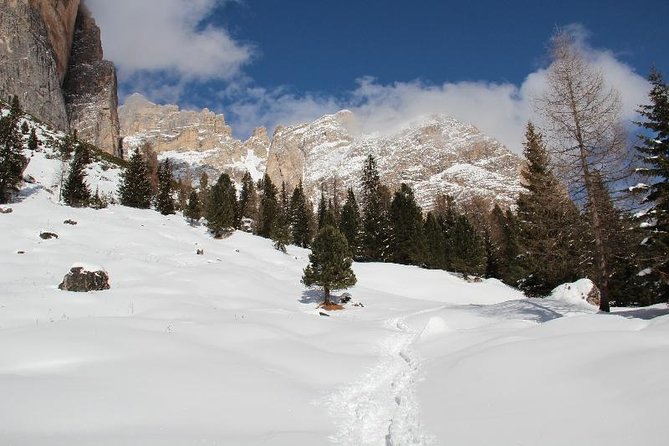Snowshoeing in Cortina d'Ampezzo - Who Should Consider This Tour?