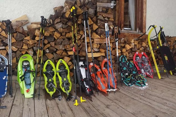 Snowshoeing in Cortina d'Ampezzo - The Sum Up