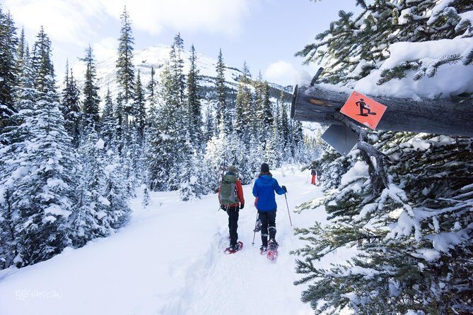 Snowshoeing in Kananaskis - What Is Snowshoeing in Kananaskis Like?