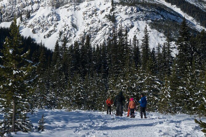 Snowshoeing in Kananaskis - Scenery and Wildlife