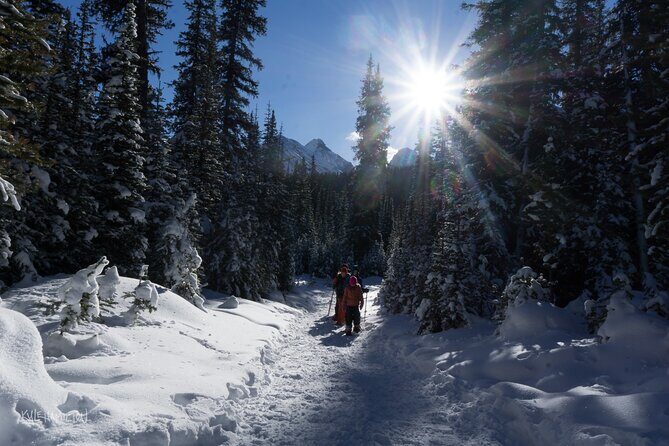 Snowshoeing in Kananaskis - Why Choose This Tour?