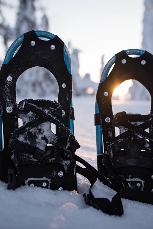 Snowshoeing in the Arctic Wilderness - The Sum Up: Who Will Love This Tour?