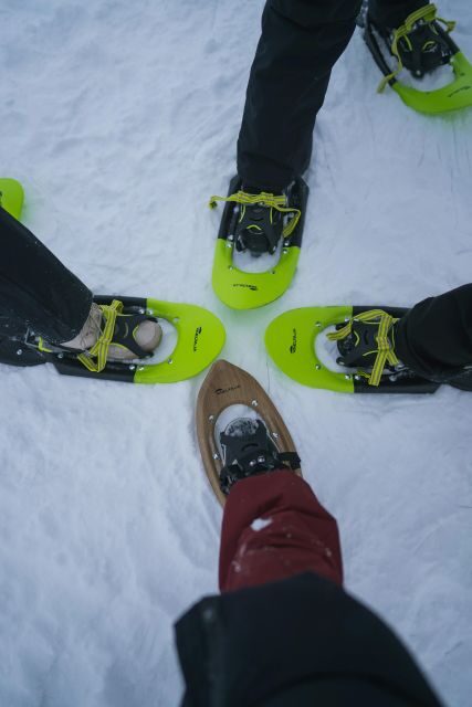 Snowshoeing in the Frozen Forest - Final Thoughts