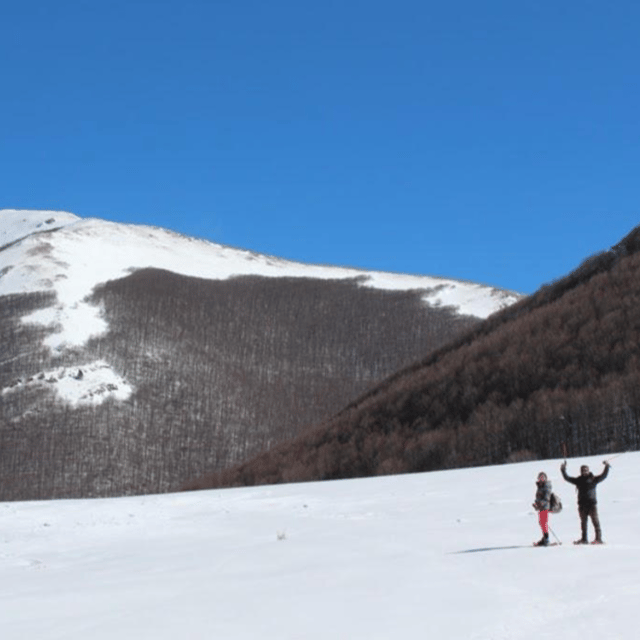 Snowshoeing in the Pollino National Park - The Sum Up