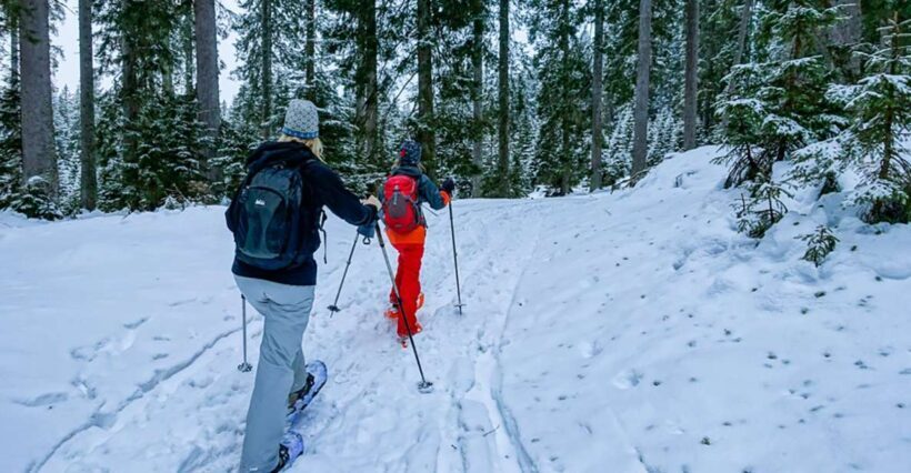 Snowshoeing in Triglav National Park - Key Points