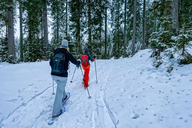 Snowshoeing in Triglav national park - Key Points