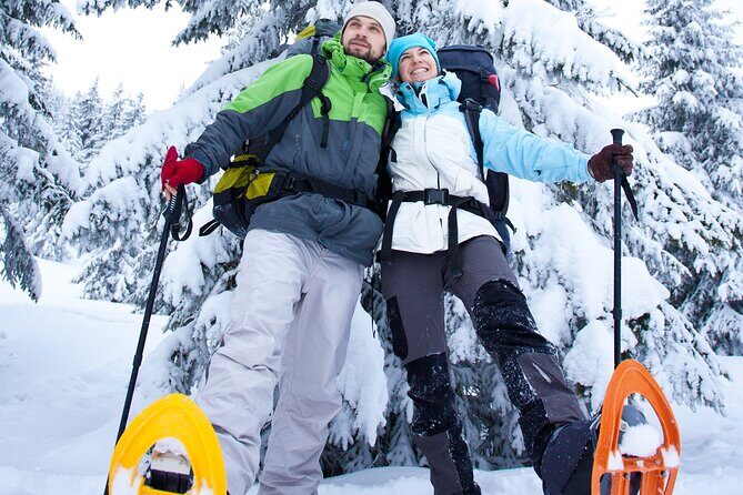 Snowshoeing In Vancouver's Winter Wonderland - Exploring Vancouver’s Winter Wonderland: The Tour Overview