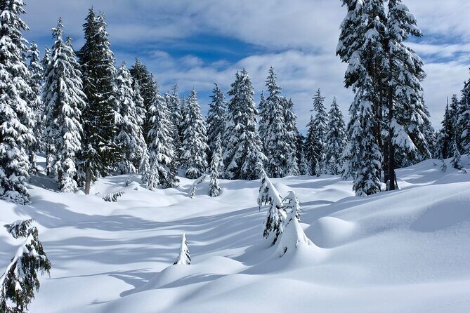 Snowshoeing In Vancouver's Winter Wonderland - Analyzing the Value