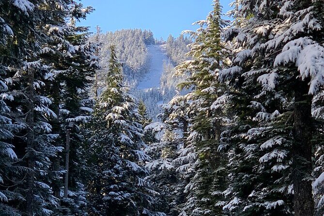 Snowshoeing In Vancouver's Winter Wonderland - Frequently Asked Questions
