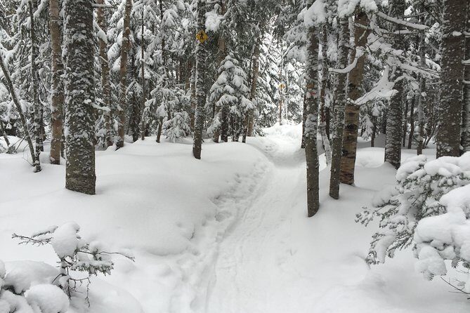 Snowshoeing Tour in Jacques-Cartier National Park - The Itinerary: What’s Included and What You’ll Do