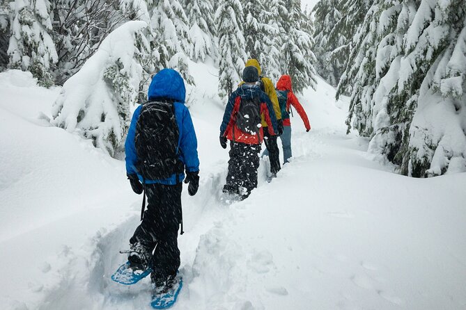 Snowshoeing tour with Wild Lunch - Exploring the Arctic on Snowshoes