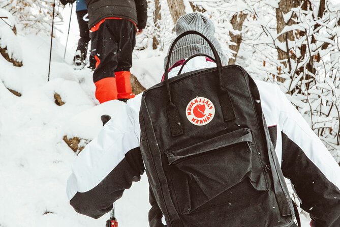 Snowshoeing tour with Wild Lunch - Practical Details and Logistics