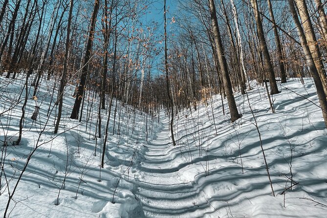 Snowshoeing tour with Wild Lunch - The Value Proposition