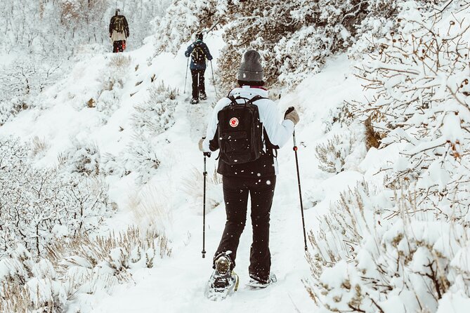 Snowshoeing tour with Wild Lunch - Who Should Consider This Tour?