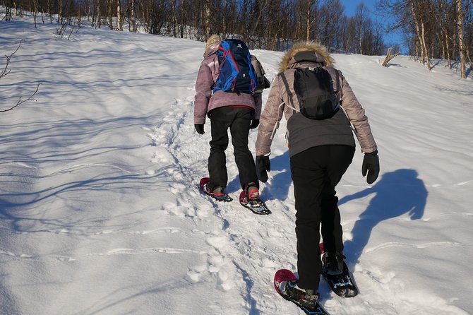 Snowshoeing With A View - Tips for an Unforgettable Snowshoeing Experience
