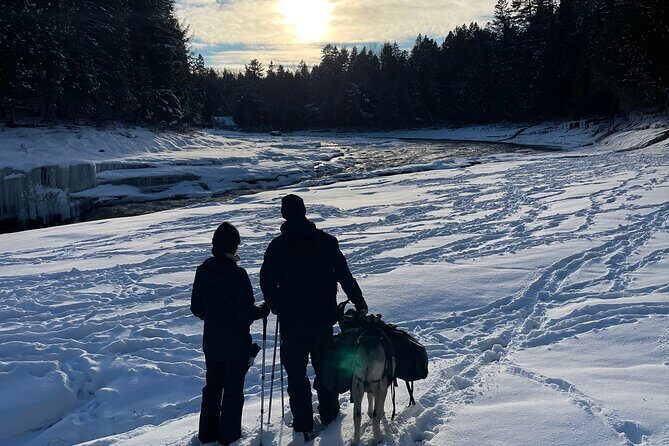 Snowshoeing with mountain goats Private activity - What the Reviews Say