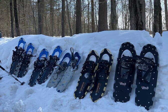 Snowshoeing with mountain goats Private activity - The Sum Up