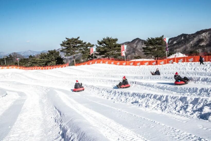 Snowy Land, Alpaca World, and Strawberry Picking - Who Would Benefit Most from This Tour?