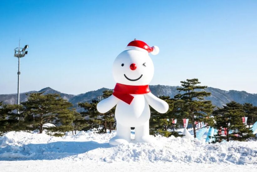 Snowy Land, Alpaca World, and Strawberry Picking - Final Thoughts