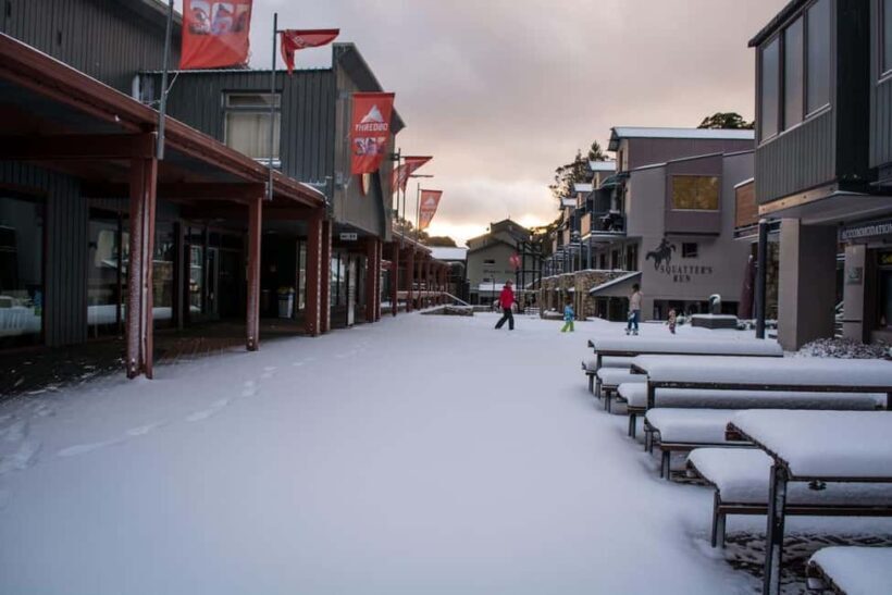 Snowy Mountains: 1-Day Snow Adventure at Thredbo From Sydney - The Sum Up