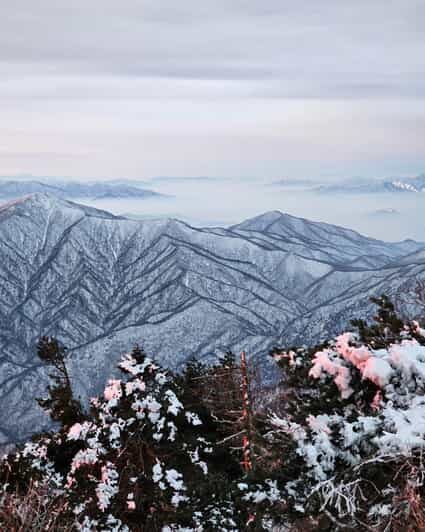 Snowy Mt. Seorak and In-je Maebawi Icewall One Day Tour - The Sum Up