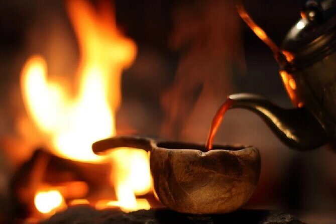 Snowy Trails 10km Husky Safari from Rovaniemi - What to Expect from the Husky Safari