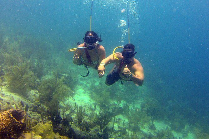 Snuba Adventure at Coral World Ocean Park - Who Should Consider This Tour