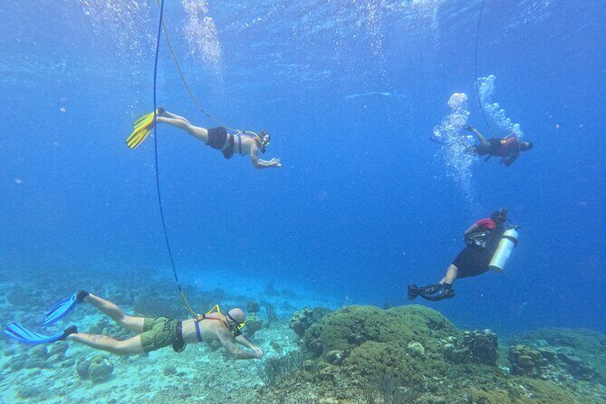SNUBA Adventure in Curacao - Guided Shallow Dive - Key Points