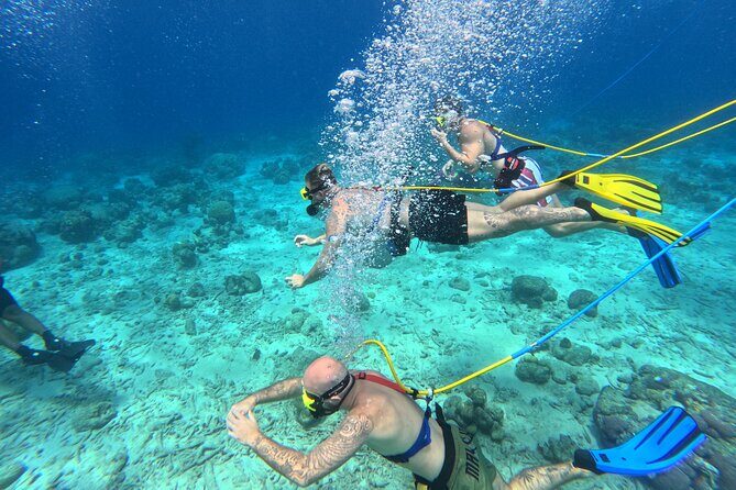 SNUBA Adventure in Curacao - Guided Shallow Dive - What You Can Expect from the Tour