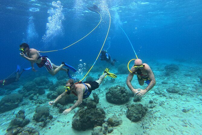 SNUBA Adventure in Curacao - Guided Shallow Dive - The Sum Up: Who Will Love This Tour?