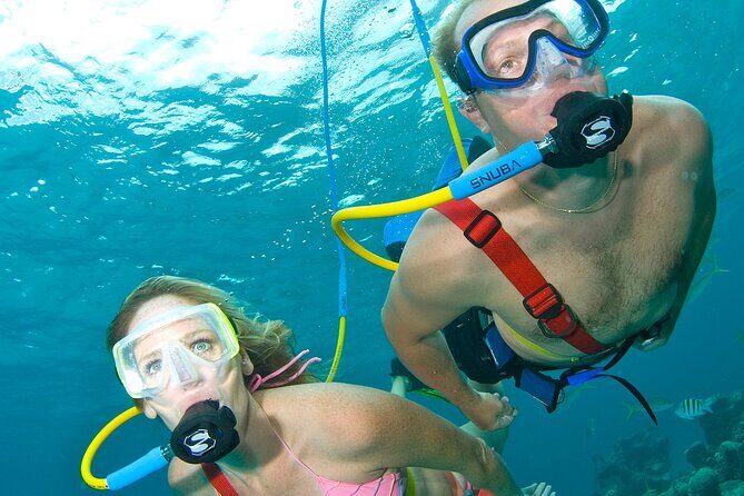 Snuba Cabo San Lucas Dive Without a Tank - The Itinerary and What to Expect