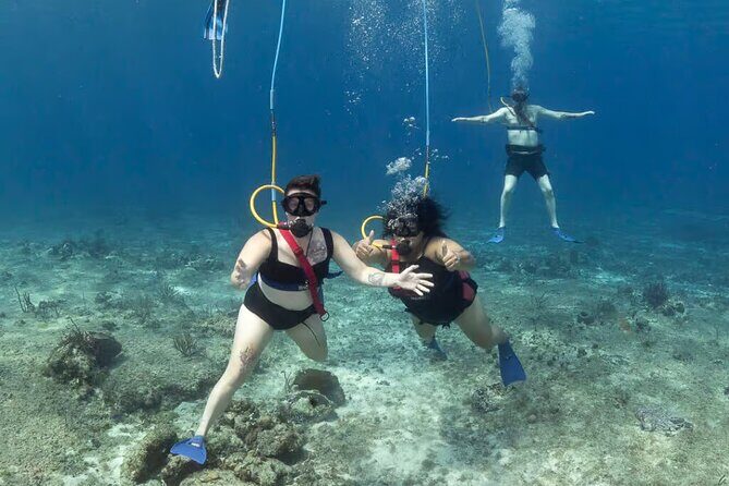 Snuba Cabo San Lucas Dive Without a Tank - Transportation, Group Size, and Cost