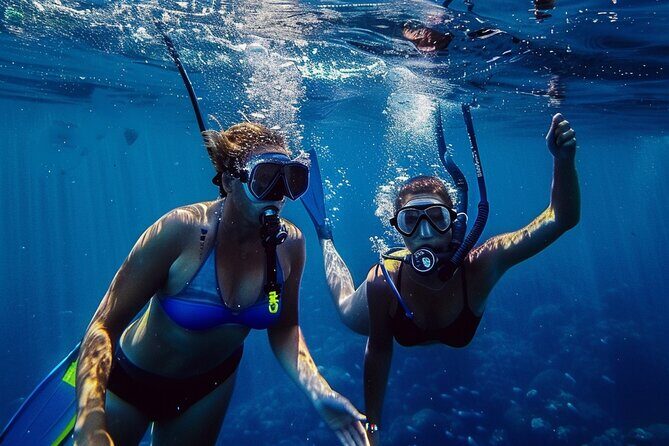 Snuba Cabo San Lucas Dive Without a Tank - Who Will Love This Tour?
