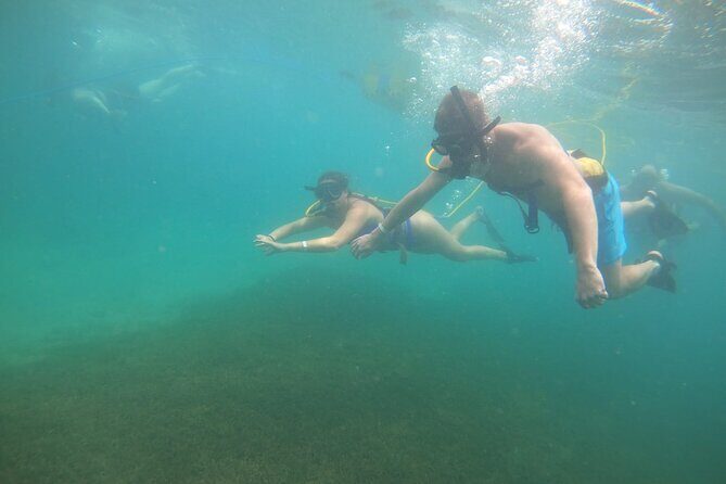 SNUBA Saint Lucia - Is SNUBA Worth the Price?