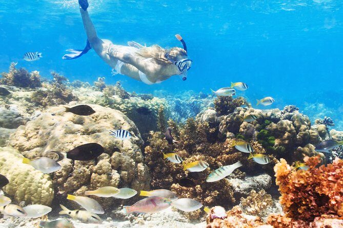 Snuba Snorkelking Parasailing and Catamaran Pack - What Is This Tour All About?