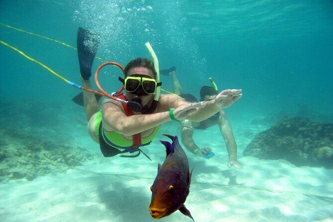 Snuba Snorkelking Parasailing and Catamaran Pack - What Are the Pros and Cons?