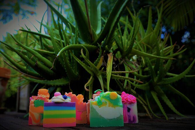 Soap Making Classes with Bubble Shack Hawaii - Key Points