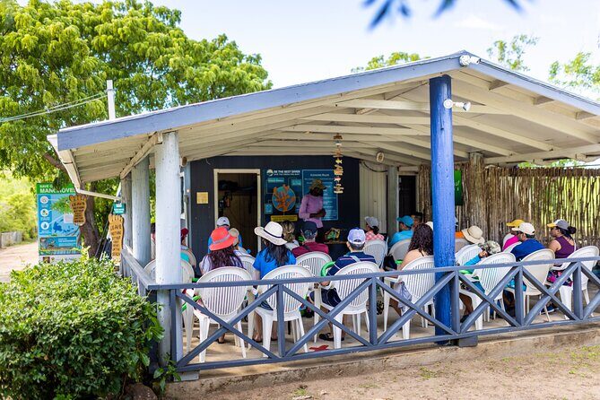 SoCoHo Eco Half Day - Mangrove Kayak & Reef Snorkeling - Who Should Book This Tour?