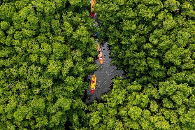SoCoHo Eco Kayak and Snorkel Tour - The Adventure Begins at South Coast Horizons