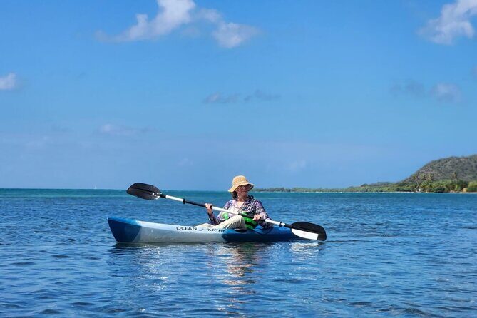 SoCoHo Eco Kayak and Snorkel Tour - Practical Details and Considerations