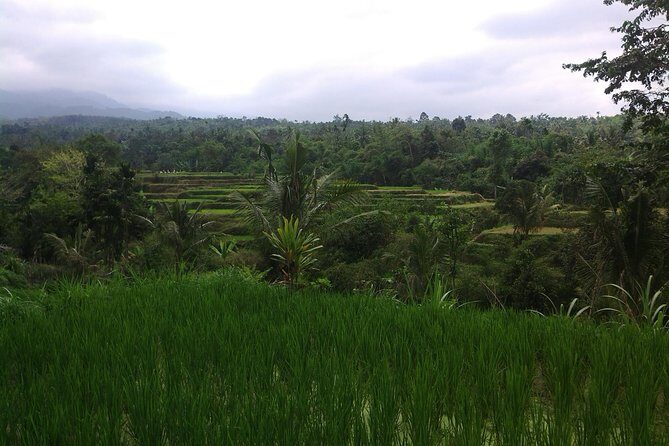 Soft Trekking Tetebatu - Key Points