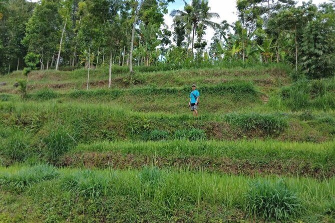 Soft Trekking Tetebatu - A Complete Look at the Soft Trekking Tetebatu Tour