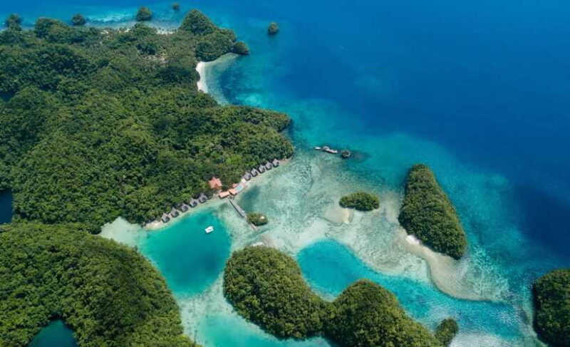 Sohoton Cove: Swim with Jellyfish & Explore Hidden Lagoons - Key Points