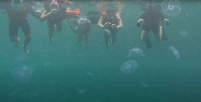 Sohoton Cove: Swim with Jellyfish & Explore Hidden Lagoons - Conclusions: Who Is This Tour Best For?