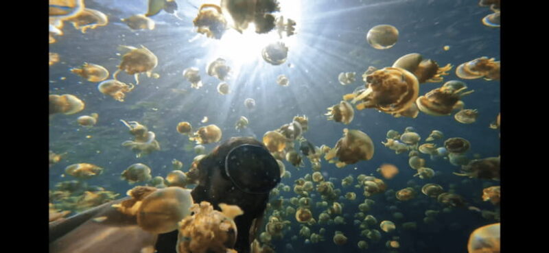 SOHOTON COVE TOUR - FAQ