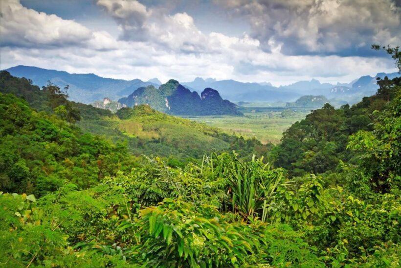 Sok River: Bamboo Raft Ride, Monkey Temple & View Point Tour - The Sum Up: Is This Tour Worth It?