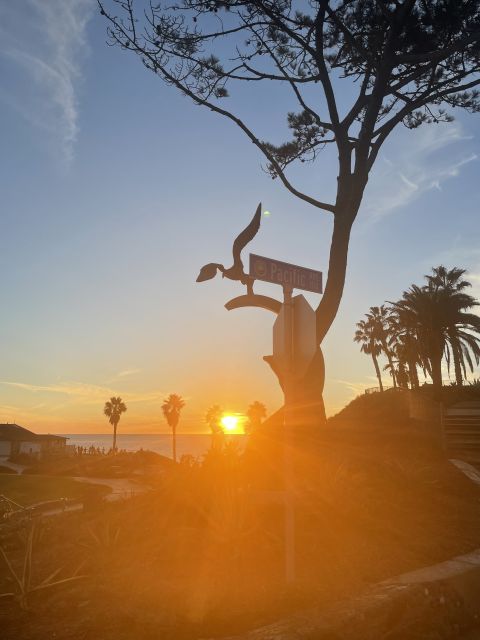 Solana Beach: Surfboard Rentals - Final Thoughts