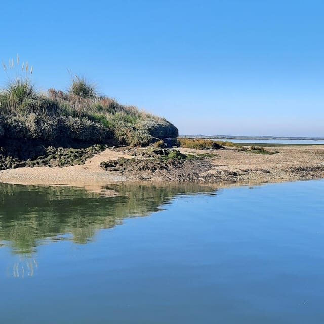 Solar Boat Tour along the Salgado da Ria de Aveiro - Analyzing the Value: Price and Experience