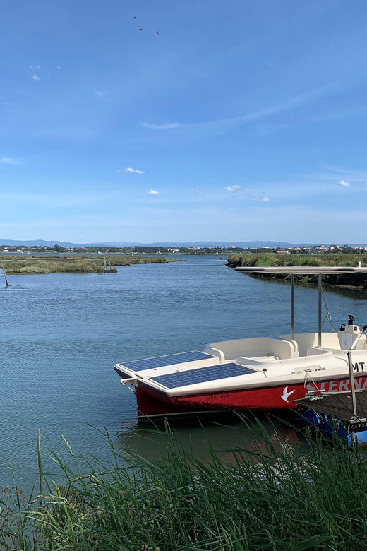 Solar Boat Tour along the Salgado da Ria de Aveiro - The Sum Up